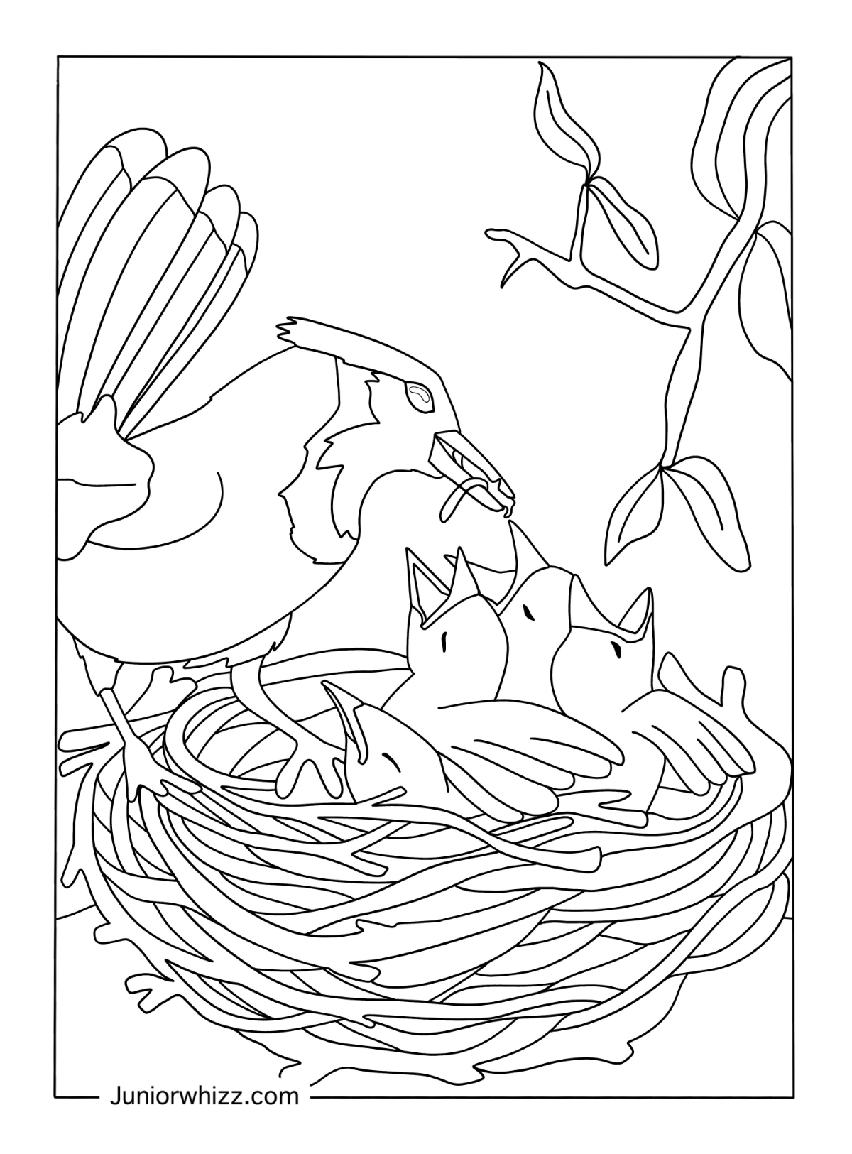 Blue Jay Coloring Pages (12 Free Printable PDFs)