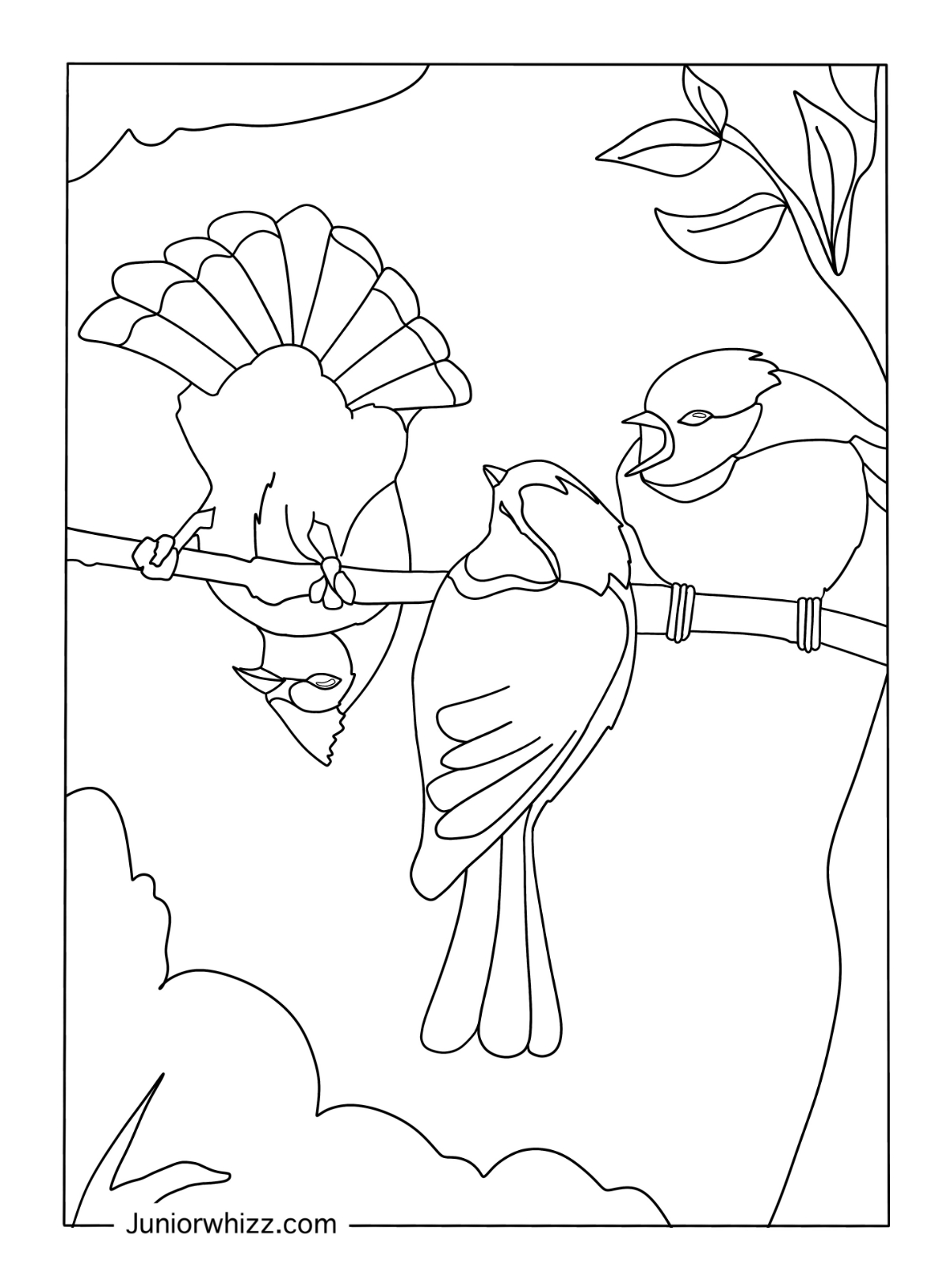 Blue Jay Coloring Pages (12 Free Printable PDFs)