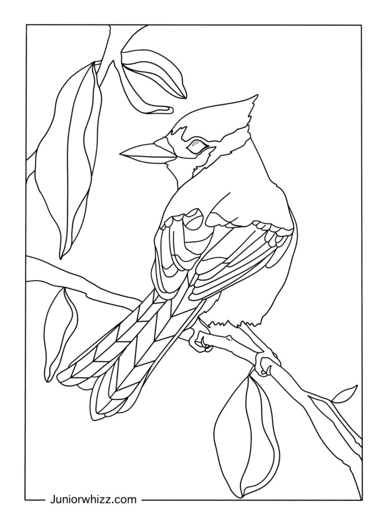 Blue Jay Coloring Pages (12 Free Printable PDFs)