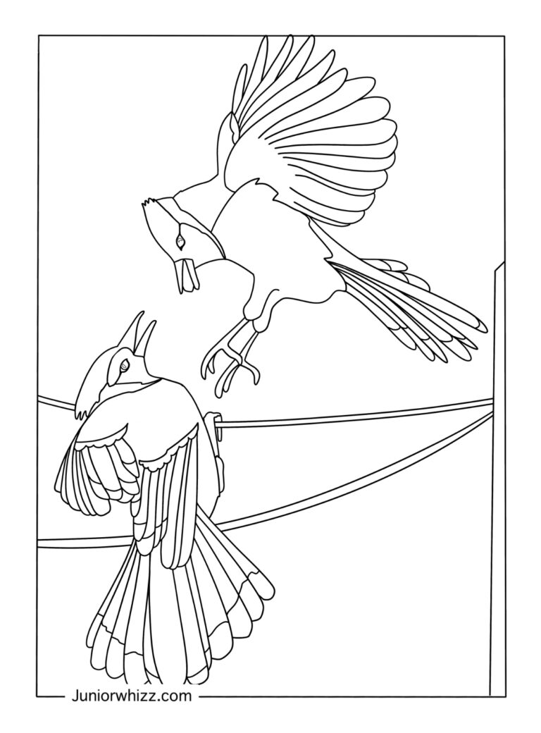 Blue Jay Coloring Pages (12 Free Printable PDFs)