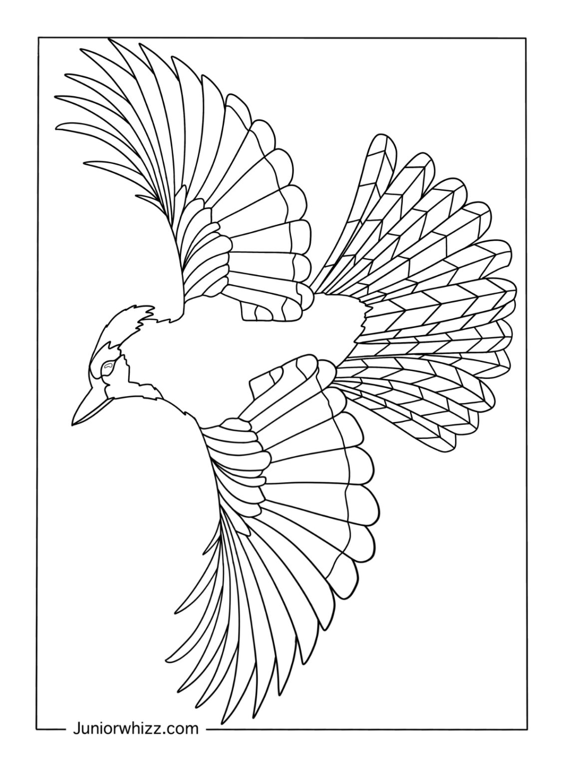 Blue Jay Coloring Pages (12 Free Printable PDFs)