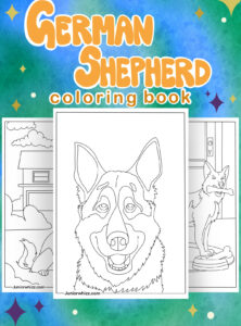 German Shepherd Coloring Pages Printable (Free PDFs)