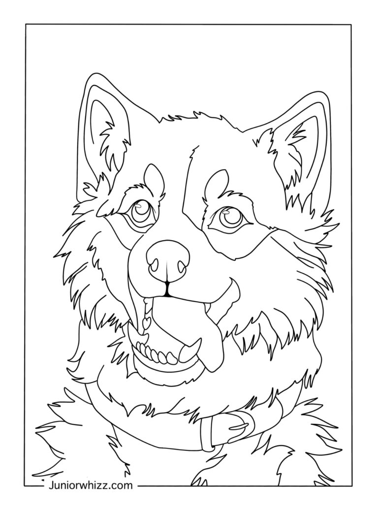 Husky Coloring Pages With Book - (14 Printable PDFs)