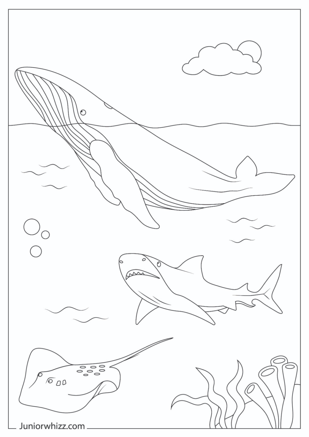 Sea Creatures Coloring Pages With Book (Printable PDFs)