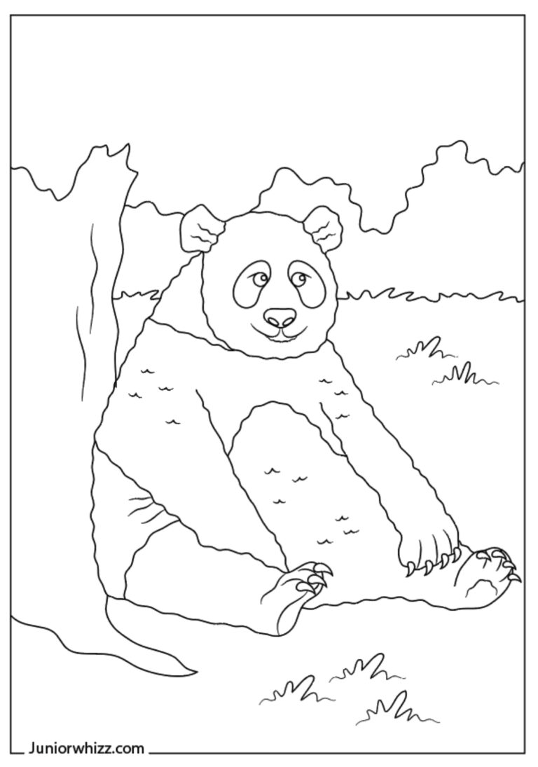 Panda Bear Coloring Pages and Book (12 Printable PDFs)